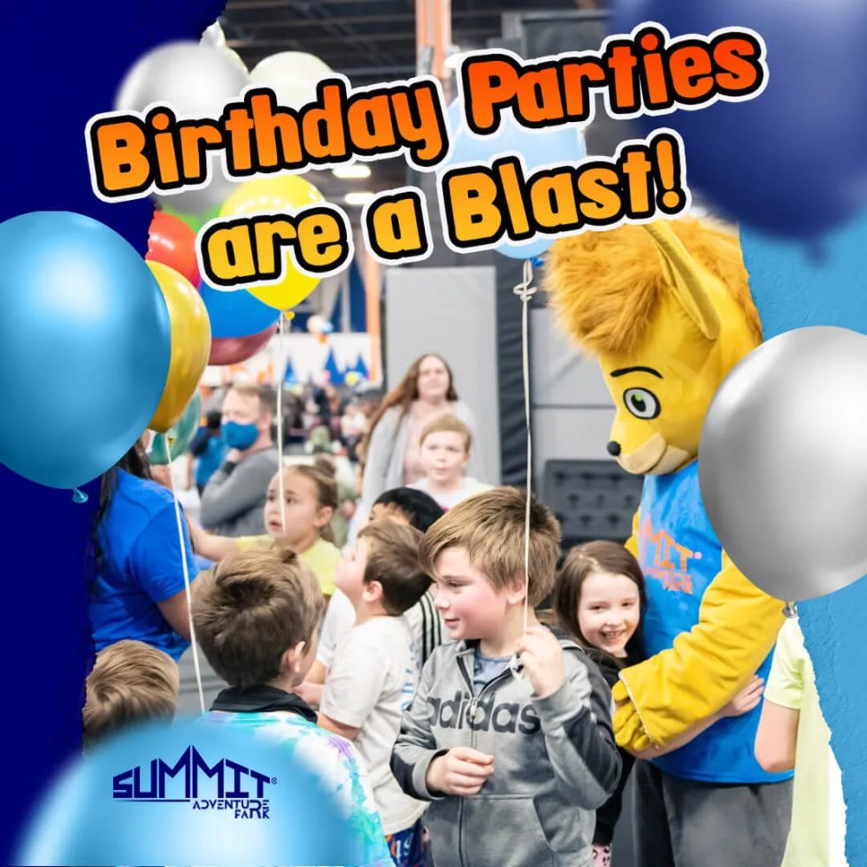 Amusement Park, Family Entertainment, Trampolines, Kids Birthday Party ...